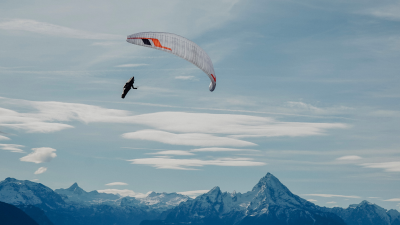 Alexander Koller | Wettbewerbspiloten | Niviuk Paragliders
